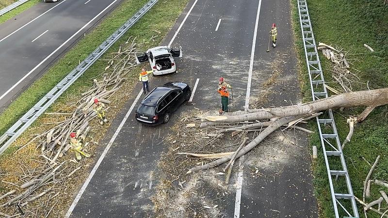 Alain zag boom op auto A79 vallen en was als eerste bij wrak: ‘Ze ...