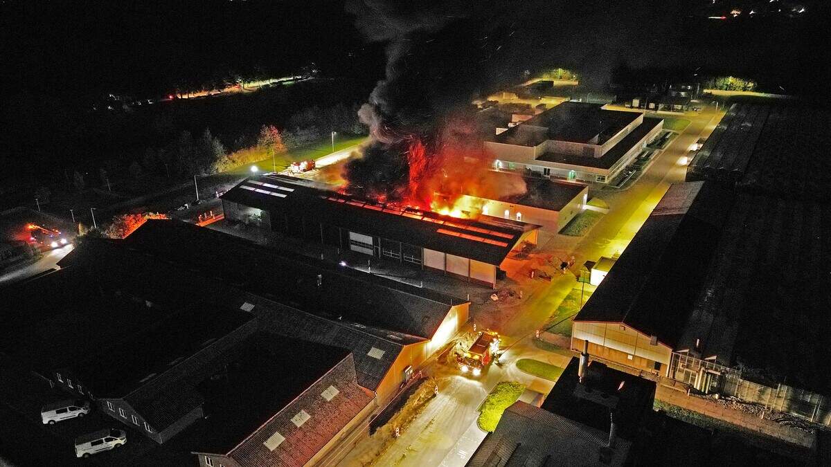 BASF Nunhems hervat reguliere werkzaamheden na verwoestende brand in ...