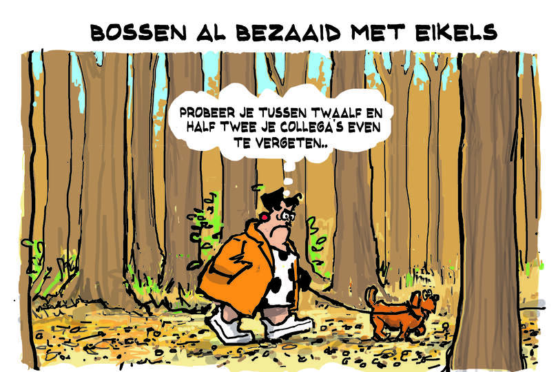 Toos en Henk - 29 september 2025 | De Limburger