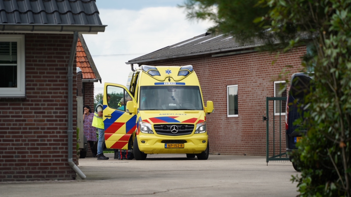 Ruiter gewond na val van paard in Evertsoord: traumahelikopter ...