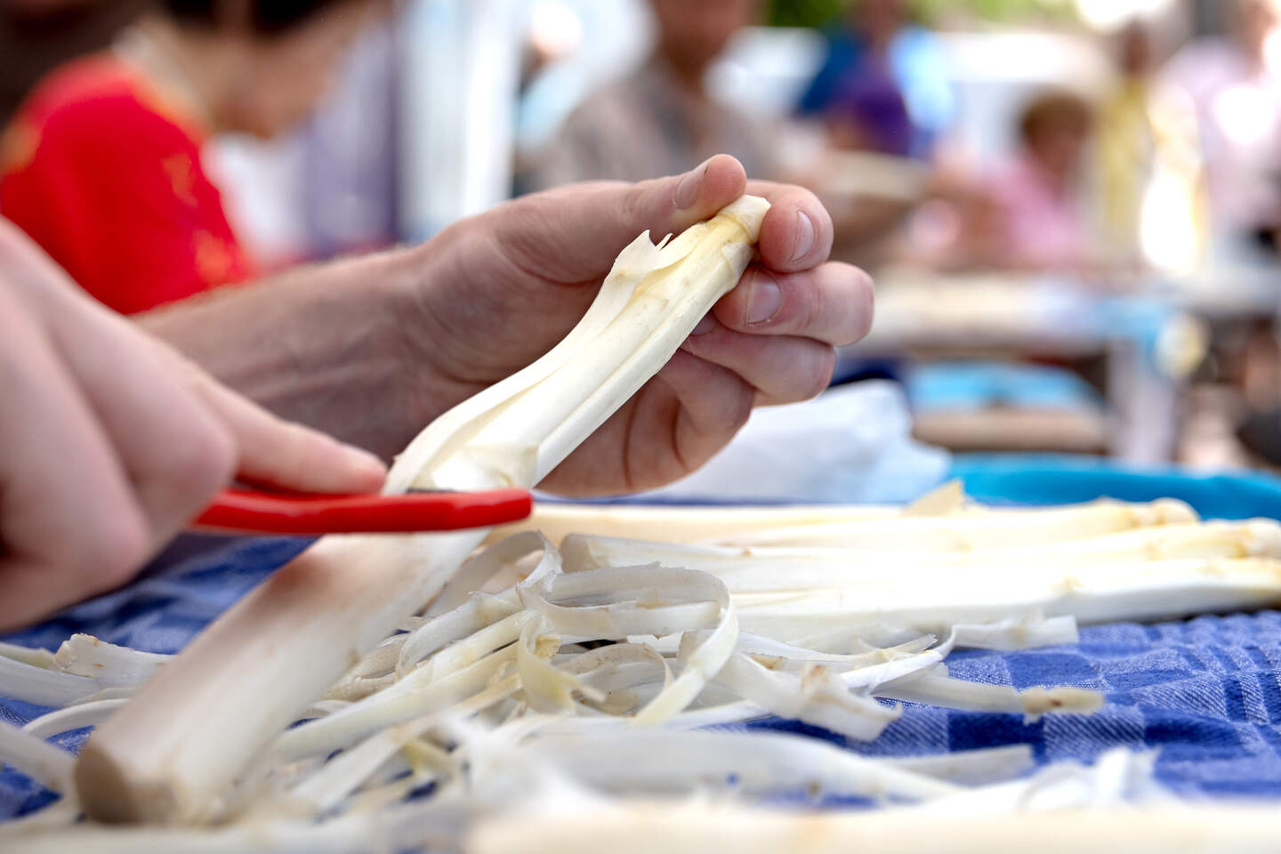 Tegen Duitse Ursula (74) kan niemand op bij het WK asperges schillen ...