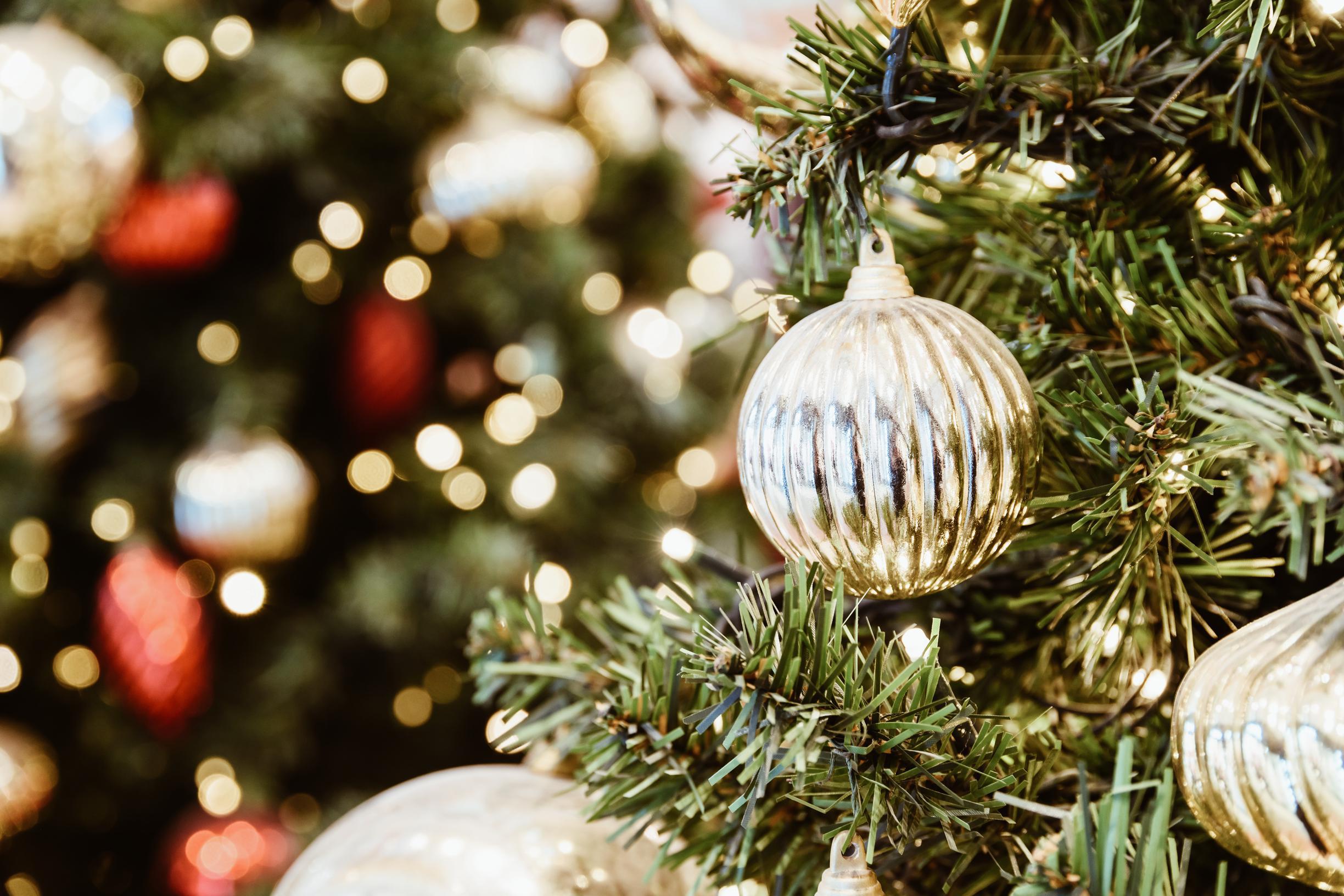 Kerstverhaal: Met de kerst niet alleen (deel 3 en slot) | De Limburger