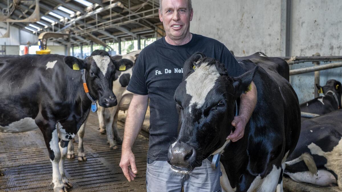 ‘Veel boeren willen investeren in innovatie die minder stikstof ...