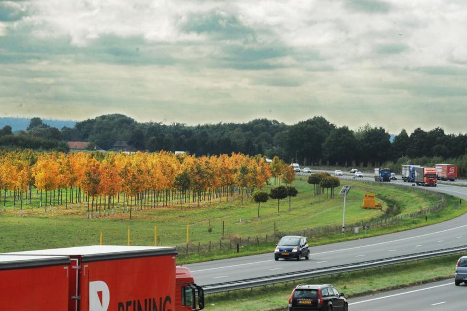 Geen nieuw tweelaags asfalt tegen geluidshinder op A73 bij Reuver | De ...