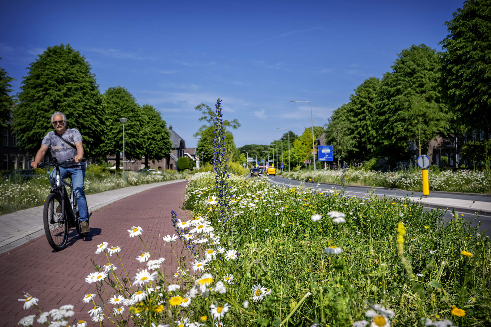 Wat heeft een bloeiende berm in Brunssum te maken met de prijs van je ...