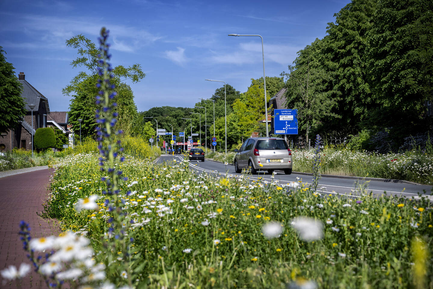 Wat heeft een bloeiende berm in Brunssum te maken met de prijs van je ...