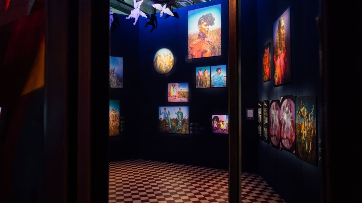 Tim Walker: modefotografie tussen Jeroen Bosch en Bollywood | De Limburger