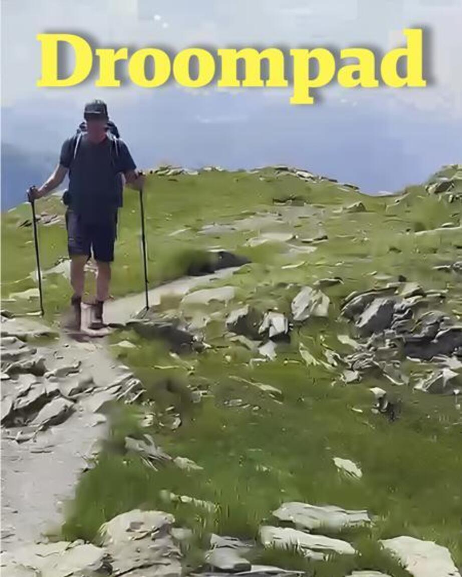 Droompad - Twan Huys | De Limburger
