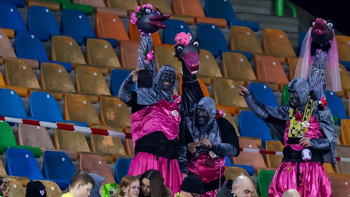 Tijdens carnaval in het uitvak van VVV voetbal kijken: struisvogels ...