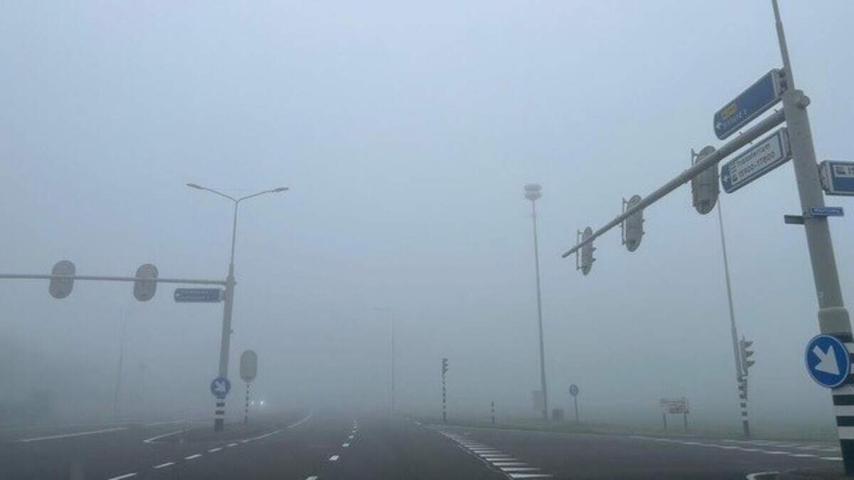 Code geel in Limburg om dichte mist | De Limburger