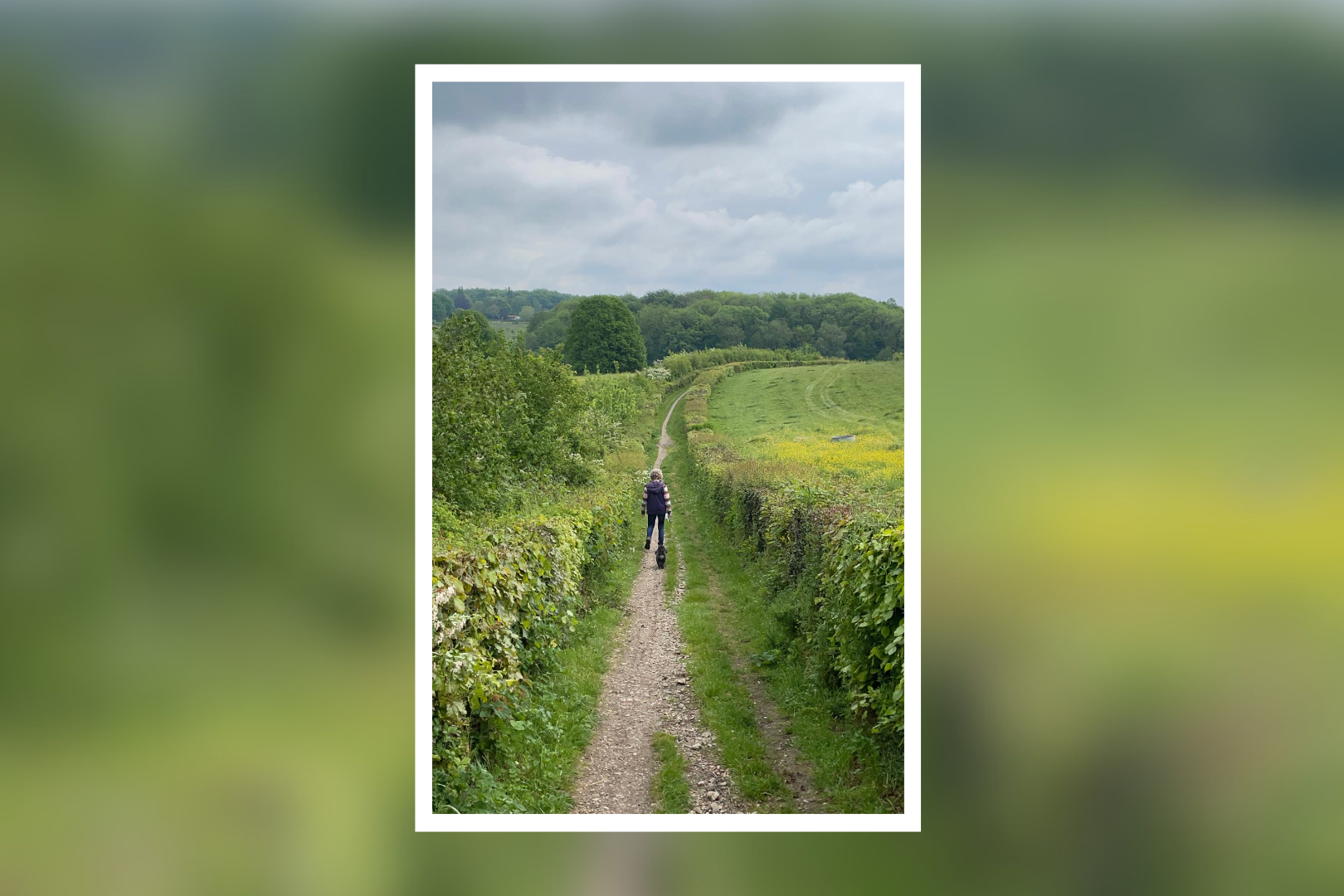 Weekwinnaar VIA-fotopagina’s ‘Week in Beeld’ | De Limburger
