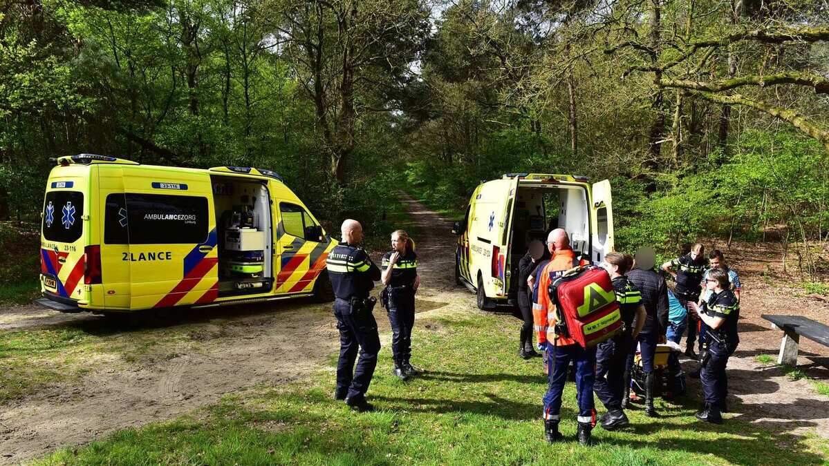 Vrouw gewond na val van paard in Meijel, traumahelikopter ingeschakeld ...